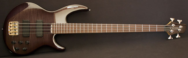 Overwater Basses | Newsletter